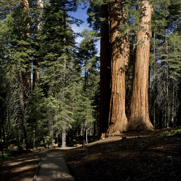 California