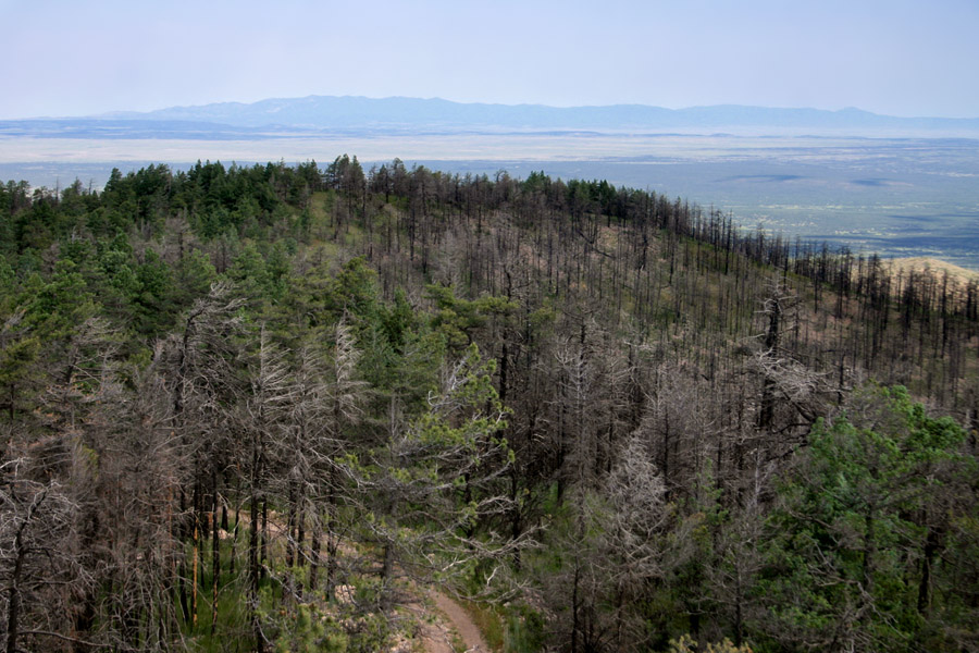 New Mexico: Lincoln County