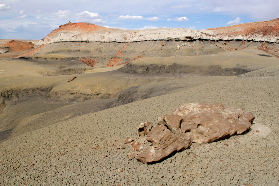 New Mexico