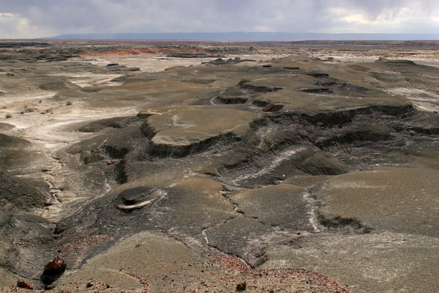 New Mexico