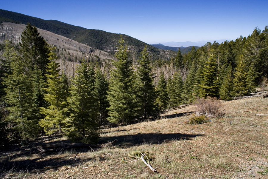 New Mexico: Santa Fe County
