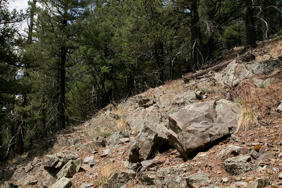 New Mexico