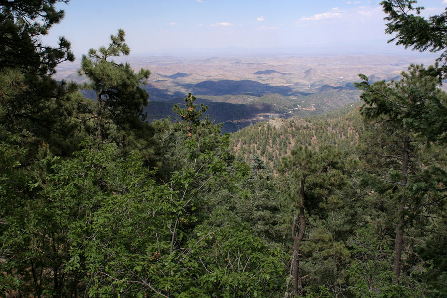 New Mexico
